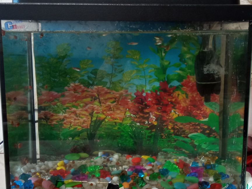 Аквариум с рыбками