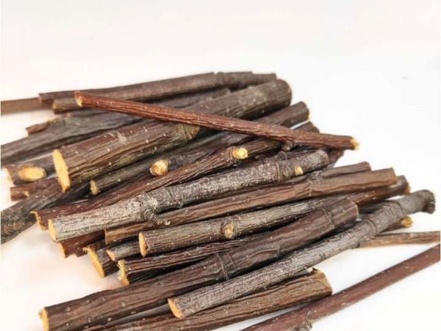 Ветки берёзы, рябины, яблони, вишни для грызунов