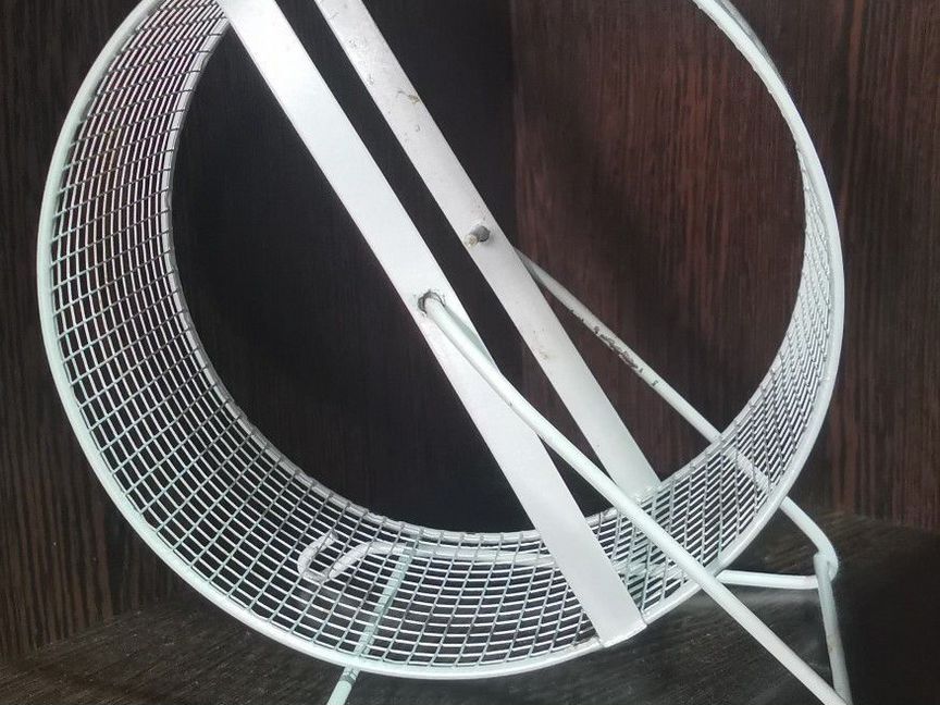 Колесо для грызунов 20 см