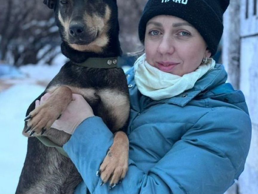 Маленькая собака попала в приют