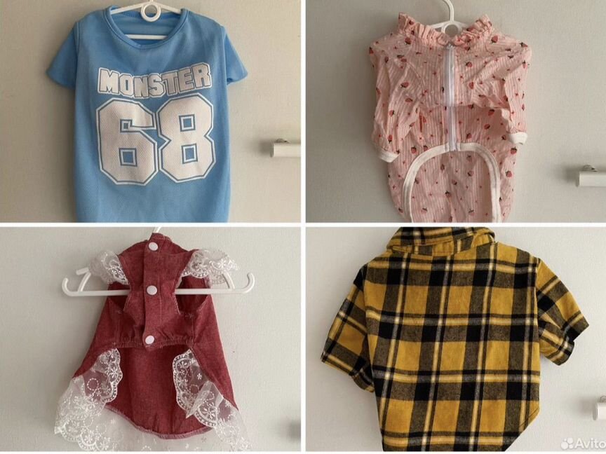 Одежда для маленьких собак и кошек