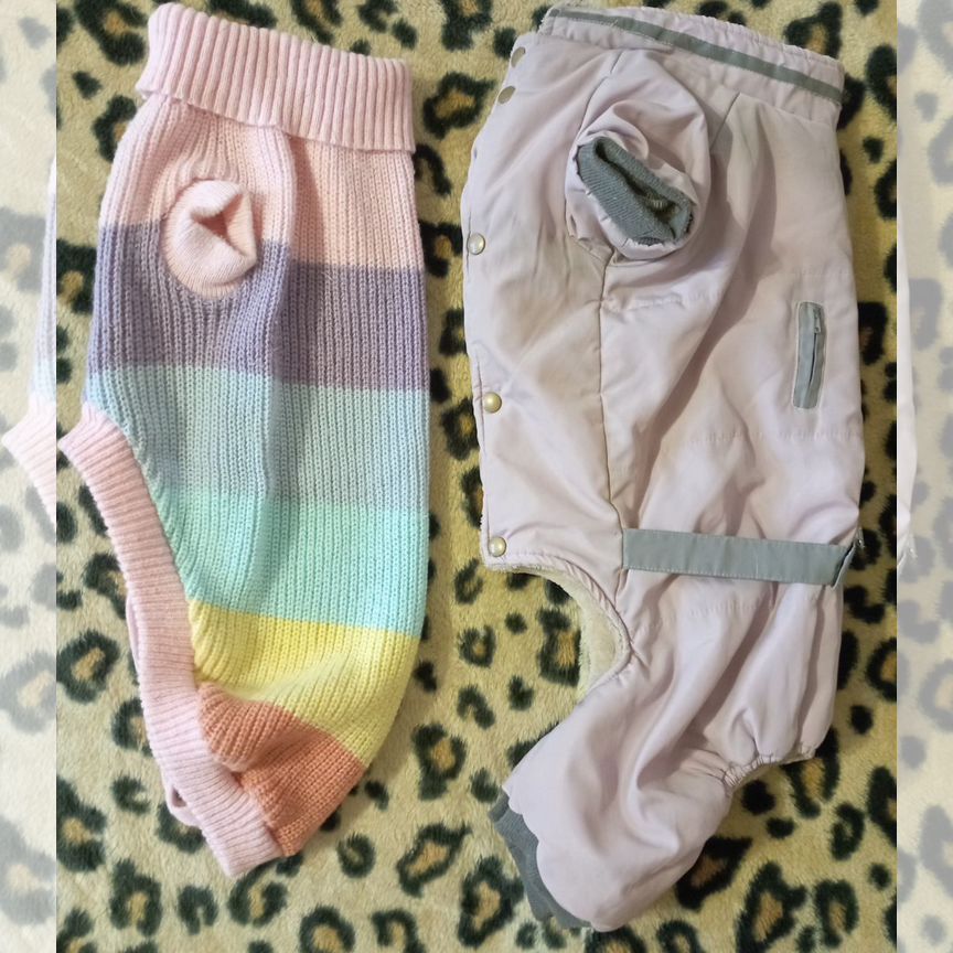 Одежда для собак