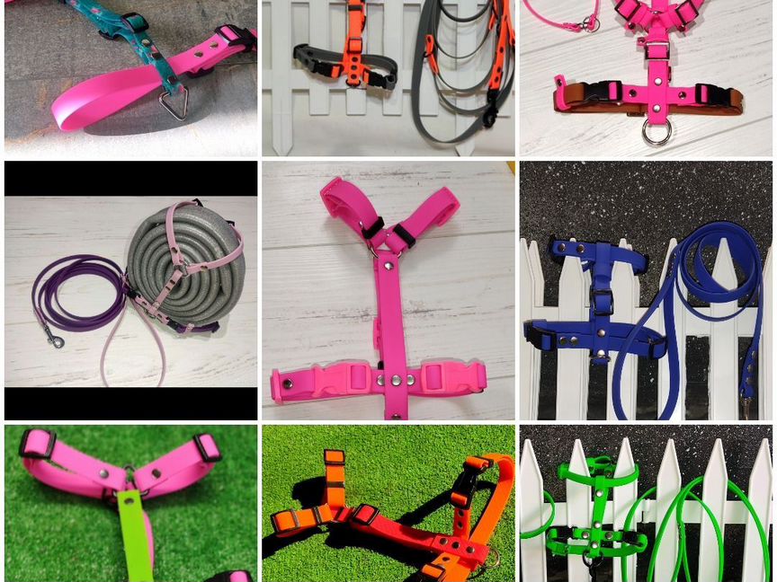 Анатомическая шлейка Биотан