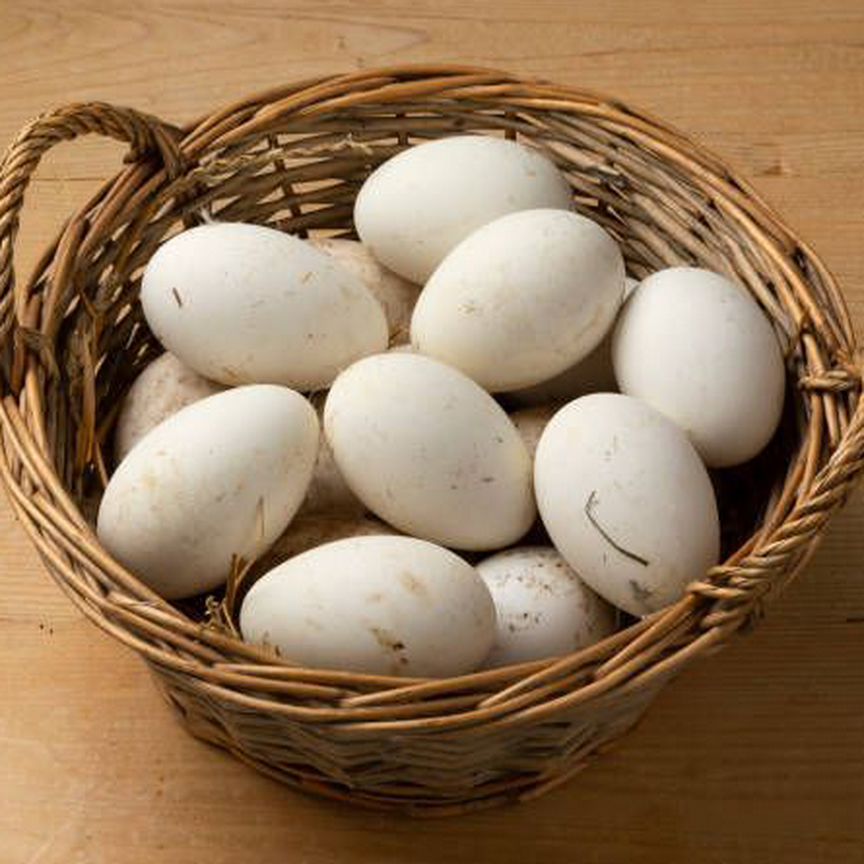 Яйцо домашнее гусиное