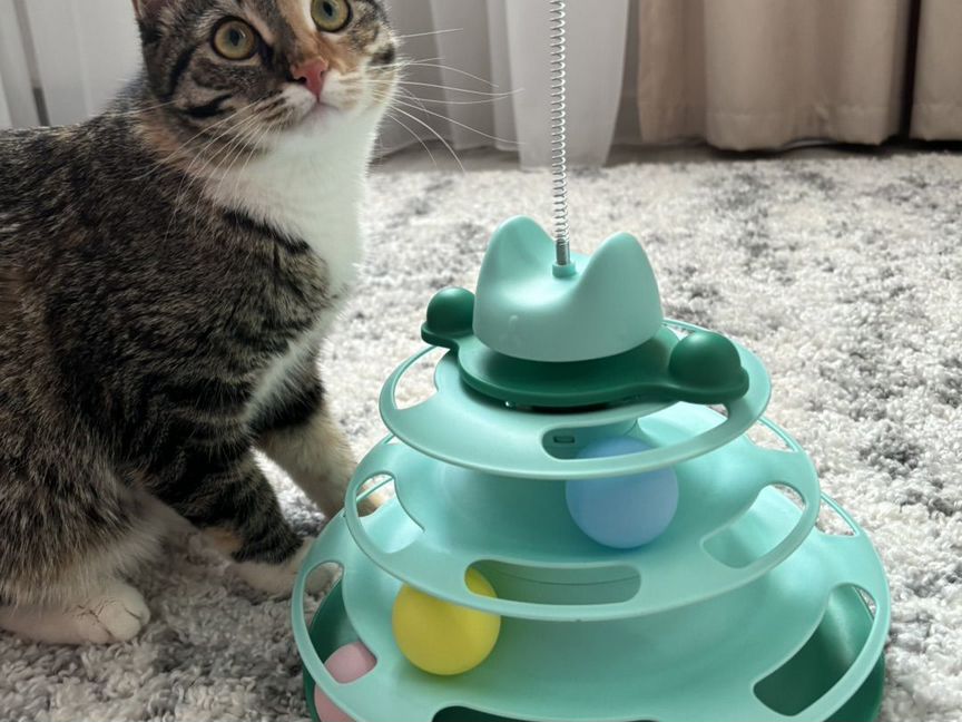 Игрушки трек для кошек с перьями