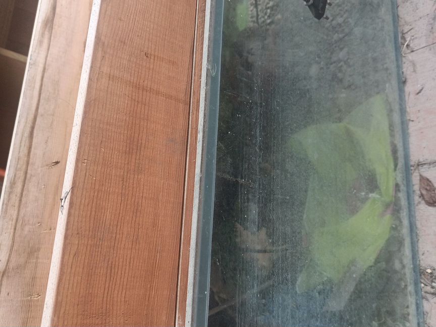 Аквариум на 100 литров