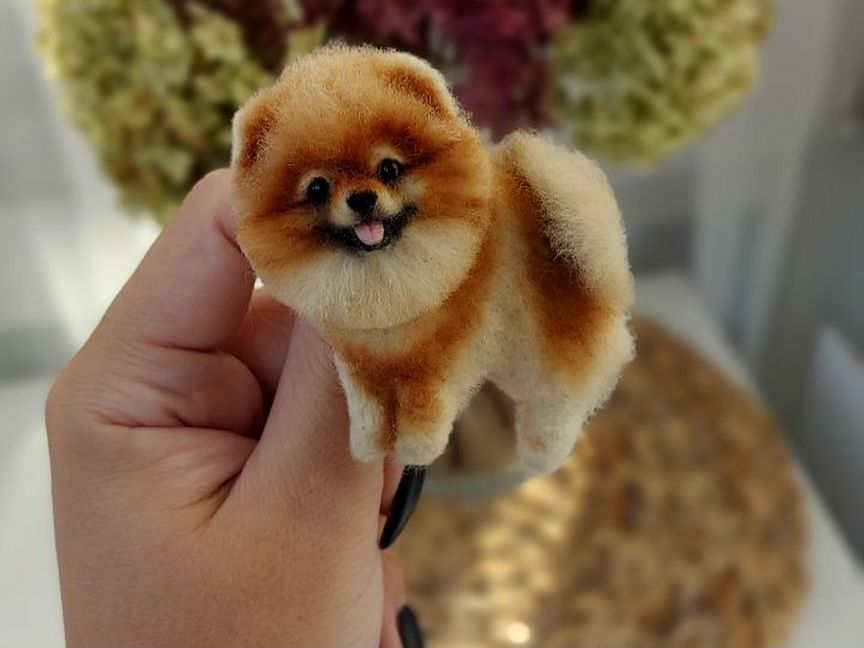 Шпицеброшь