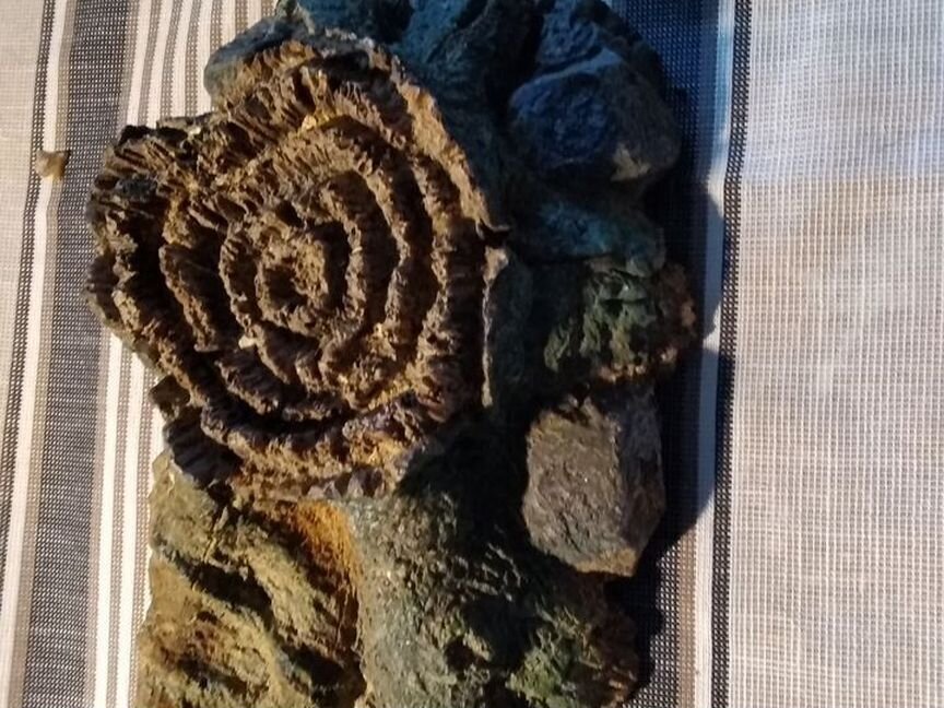 Греющий камень для террариума