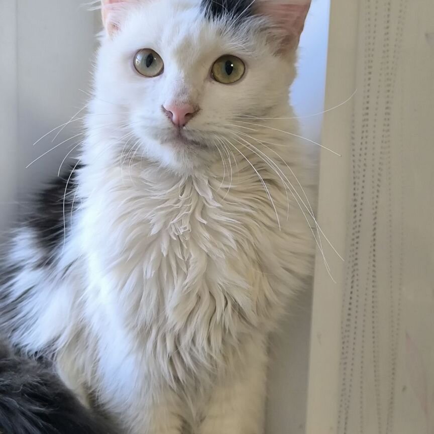 Красивый мальчишка Семка