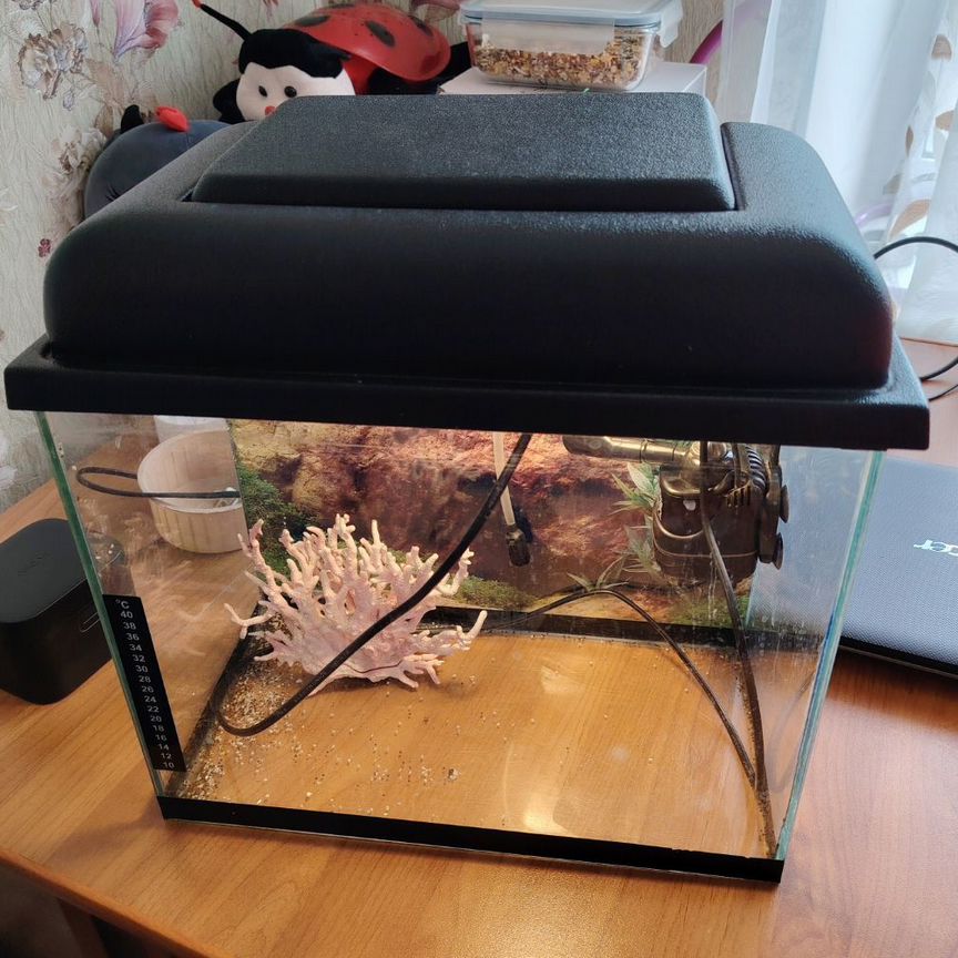 Аквариум объёмом 25 литров