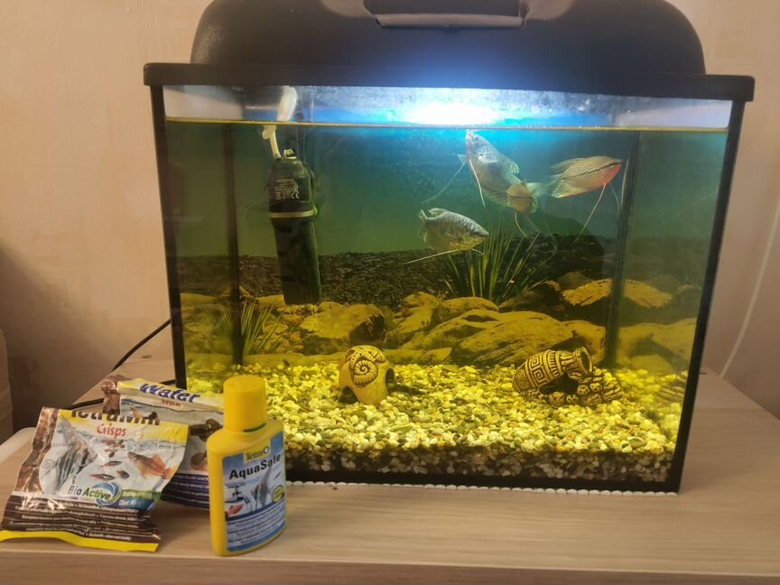 Аквариум с рыбками 35 л