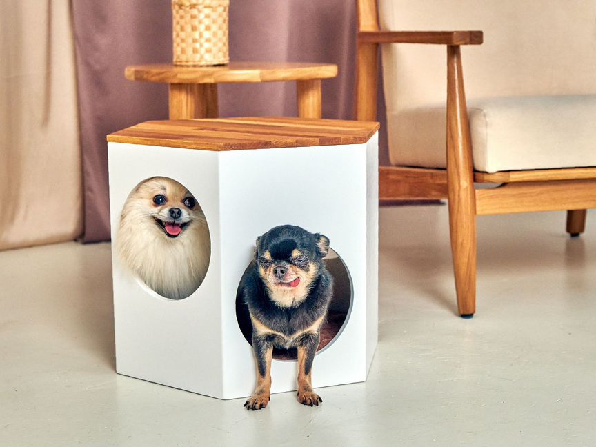 Собачий домик в квартиру