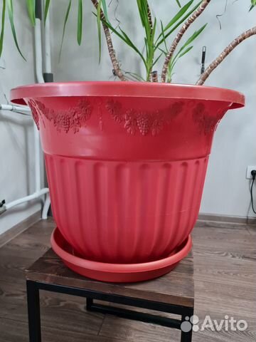 Горшок пластиковый большой купить в Красноярске | Товары для дома и ...