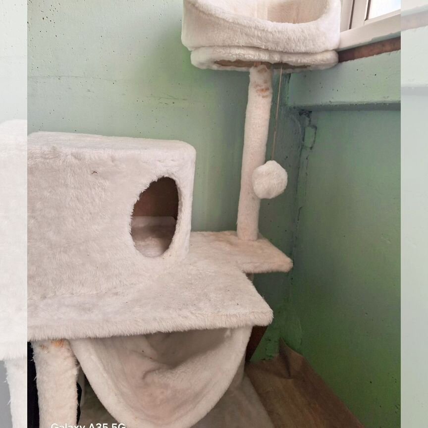 Домик для кошки бу