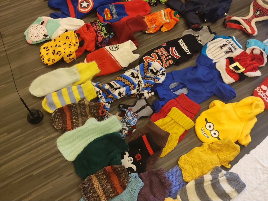 Одежда для маленьких собак пакетом