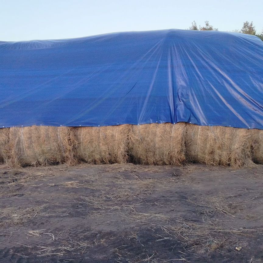 Продам сено в рулонах