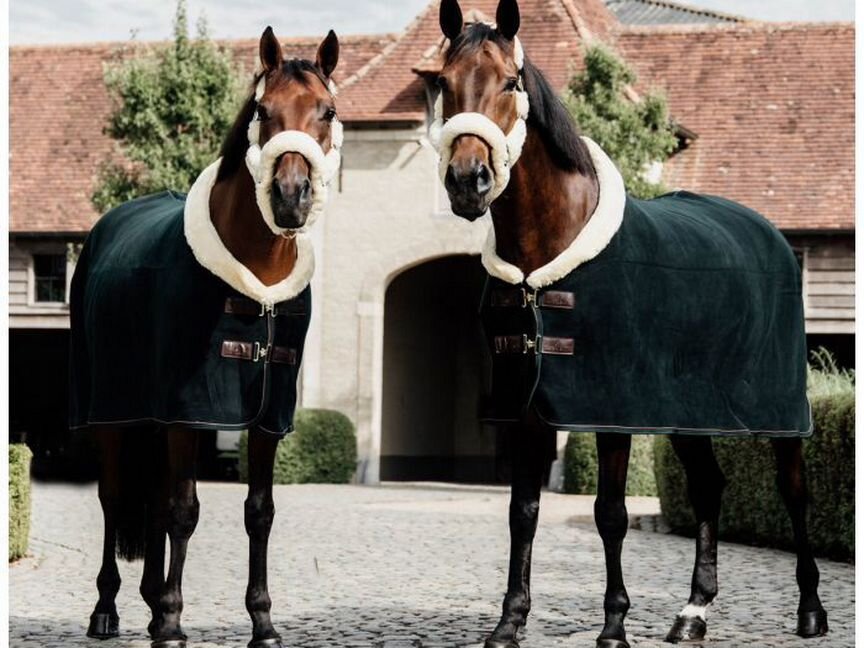 Попона флисовая Kentucky