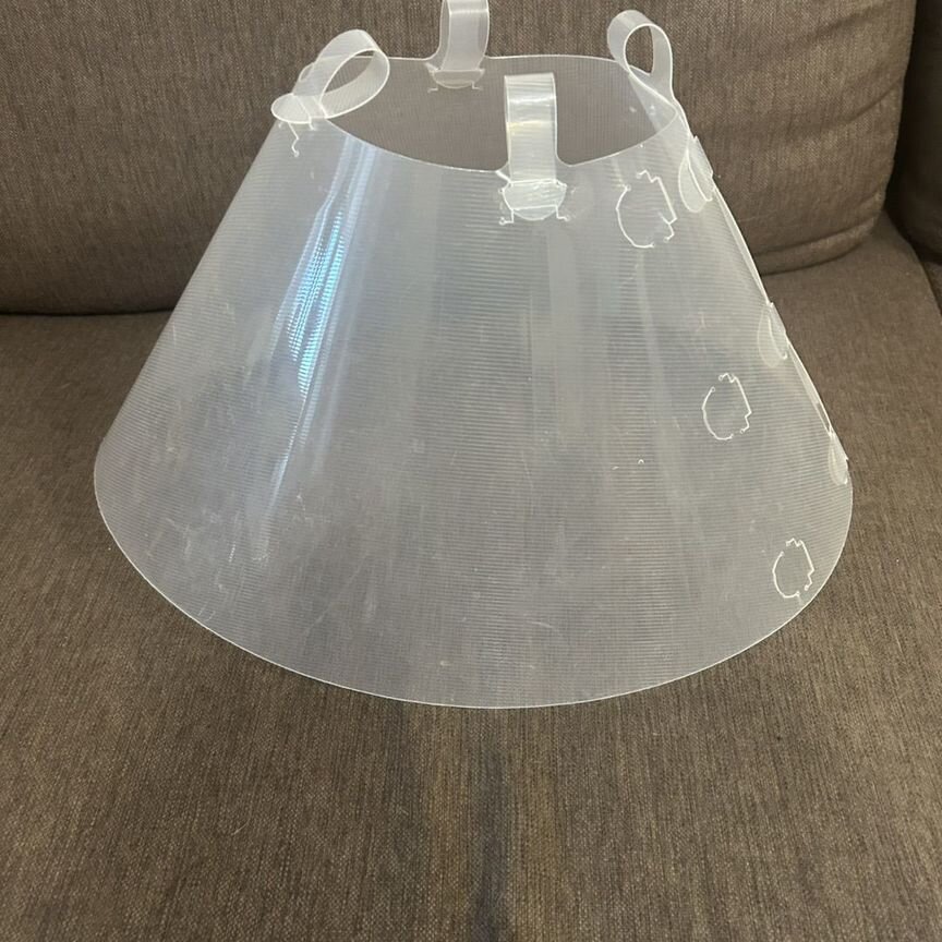 Воротник защитный ветеринарный для собаки