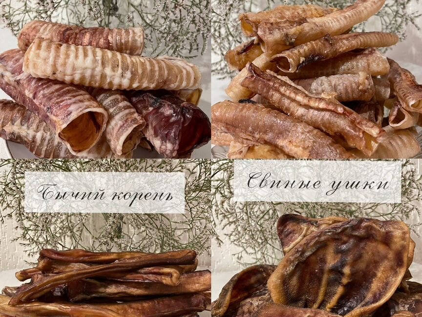 Лакомства для собак