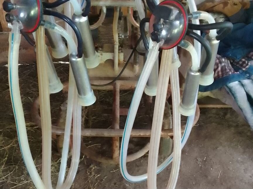 Доильный аппарат