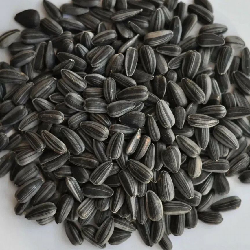 Семена подсолнечника