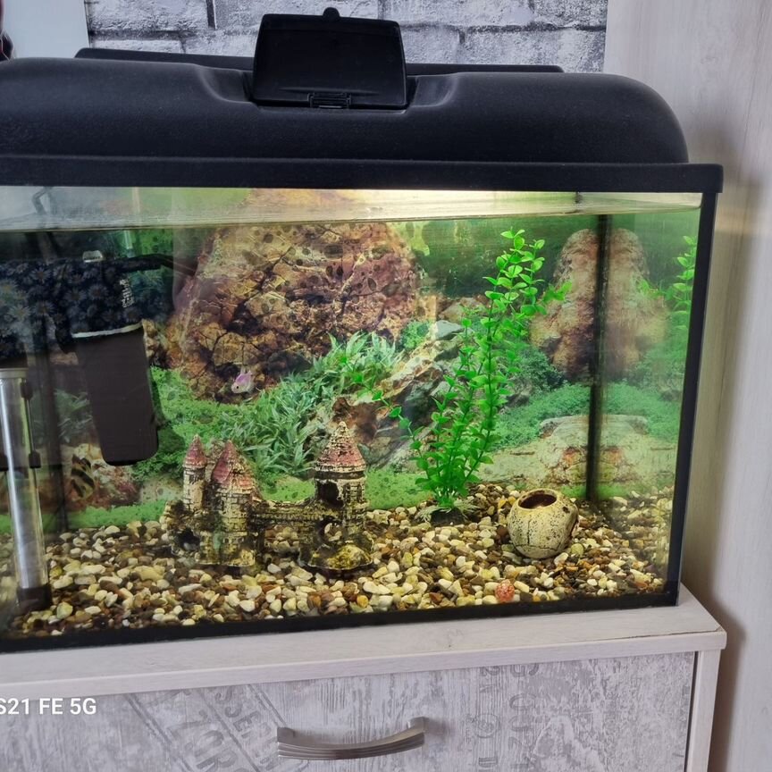 Аквариум 60л