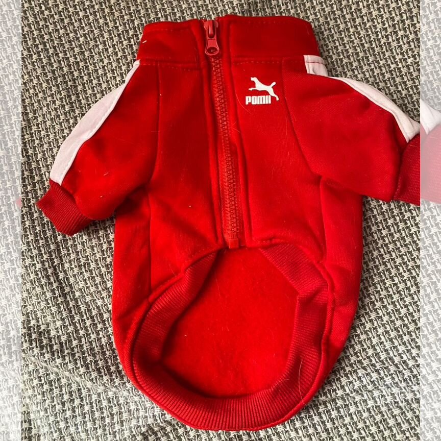 Кофточка для маленькой собачки или кошки