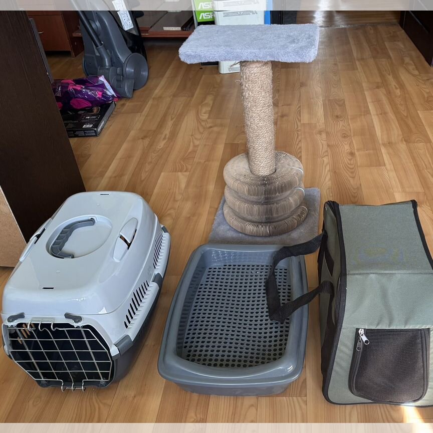 Комплект для котика