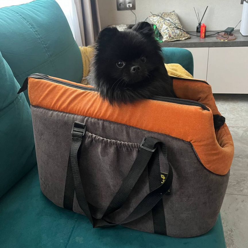 Переноска для собак мелких и средних пород