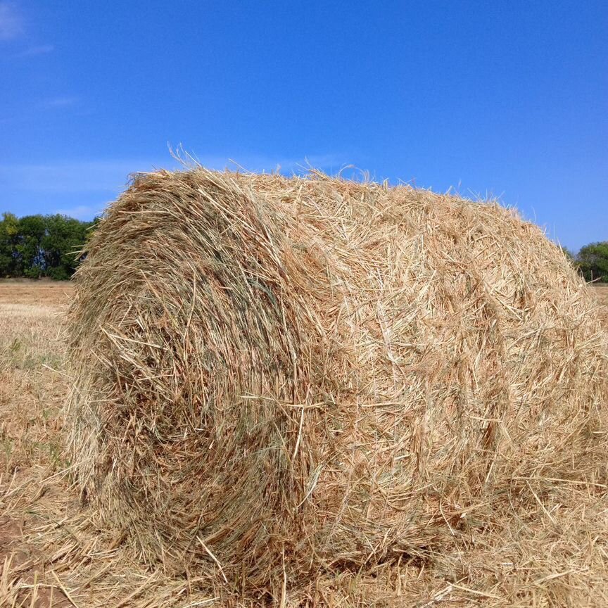 Солома просяная в рулонах