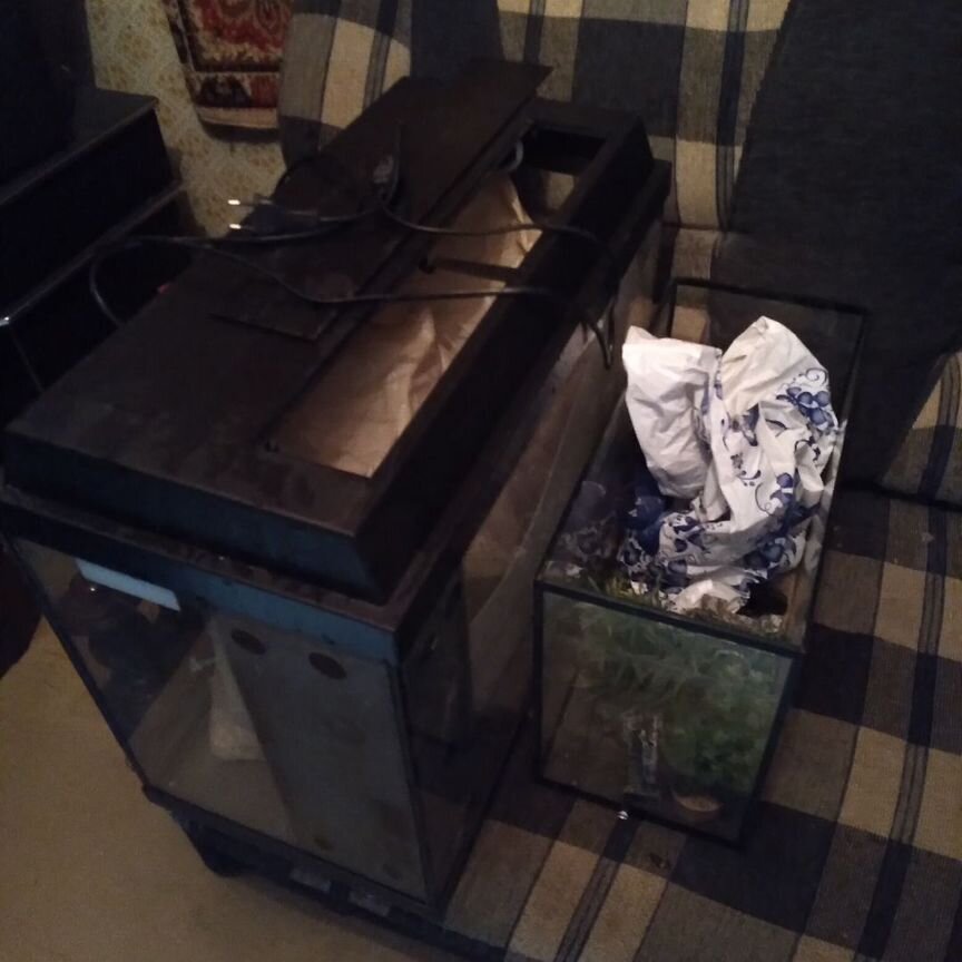 Два аквариума