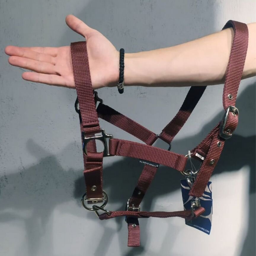 Недоуздок для лошади