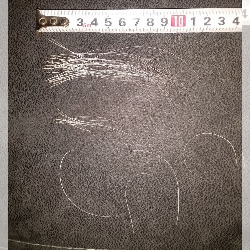 Усы. Вибриссы Мейн-кунов