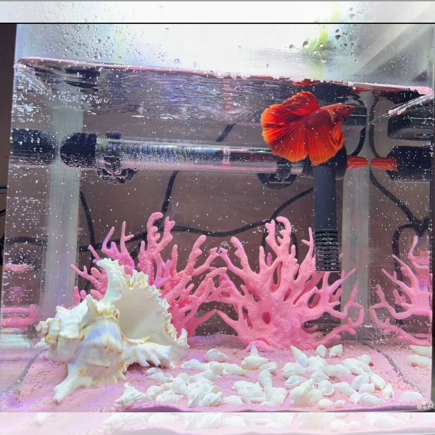 Аквариум полный набор