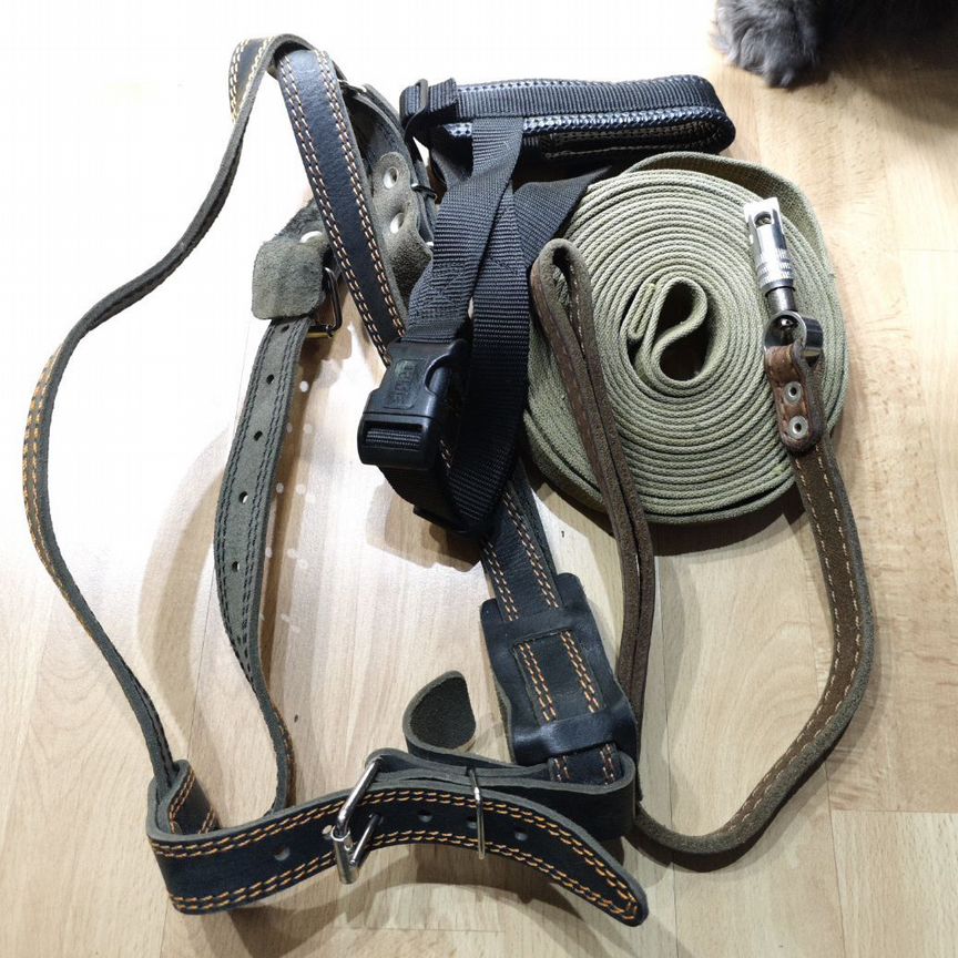 Шлейка, поводок, пуллер