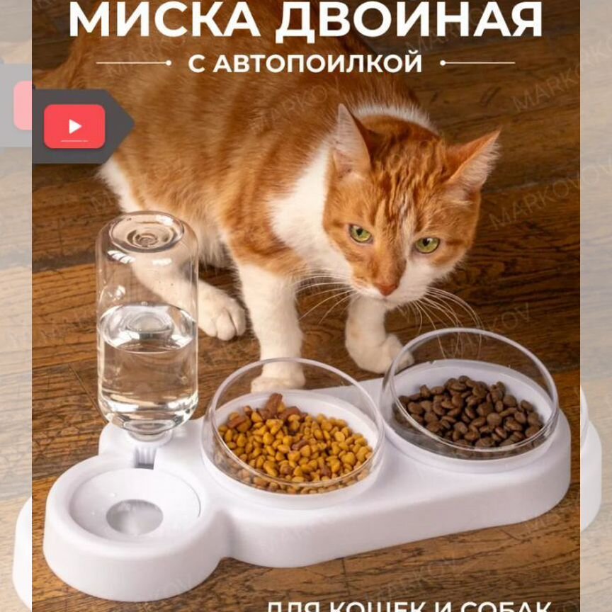 Миски для кошек с автопоилкой