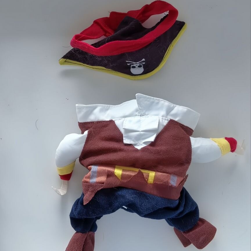 Костюм пирата для кота или маленькой собачки