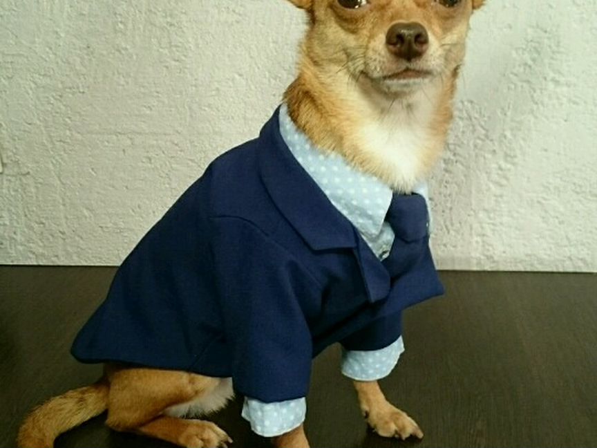 Пиджак Костюм для собак Одежда для праздника