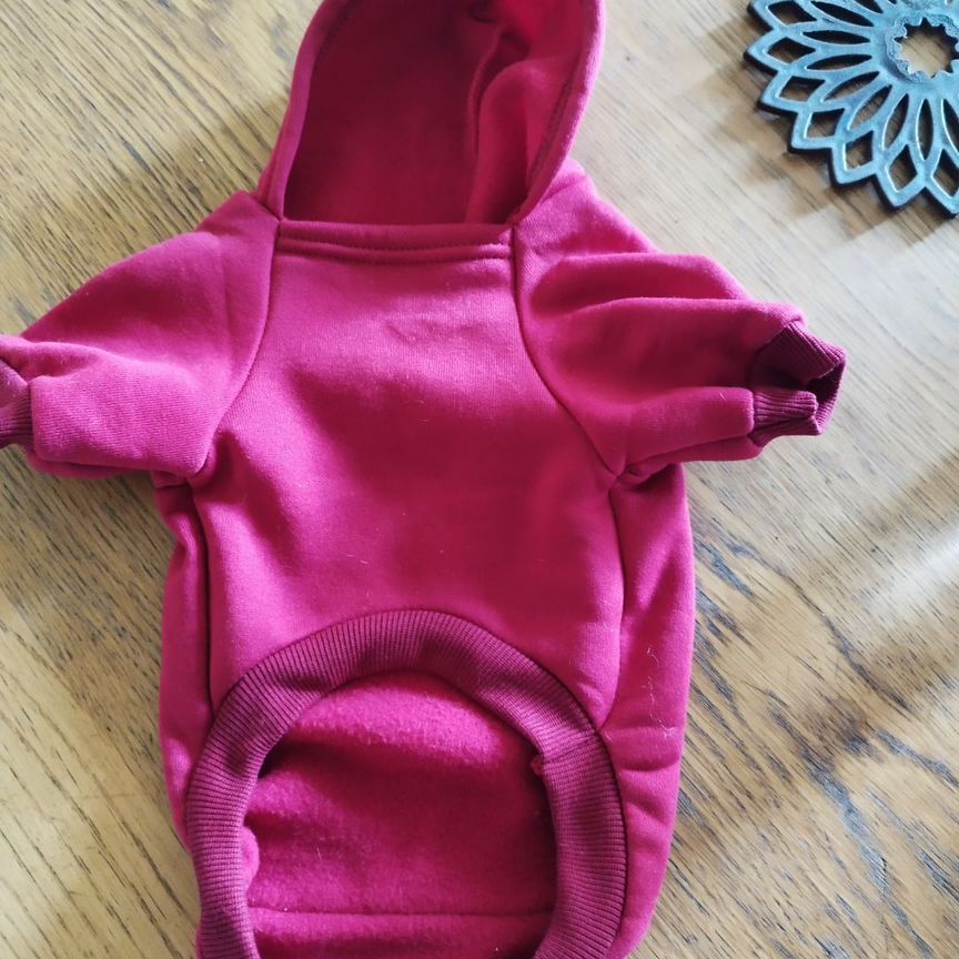 Отдам худи для небольшой собачки