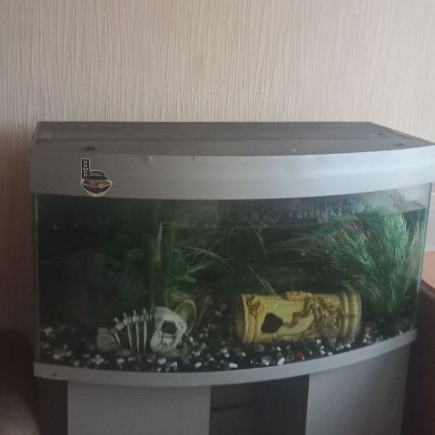Аквариум большой