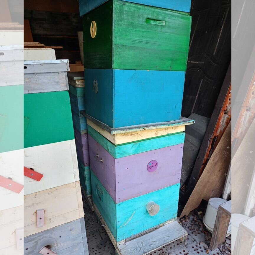 Пчеловодство