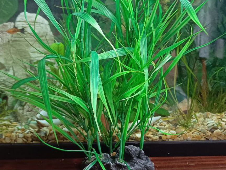 Искусственные растения