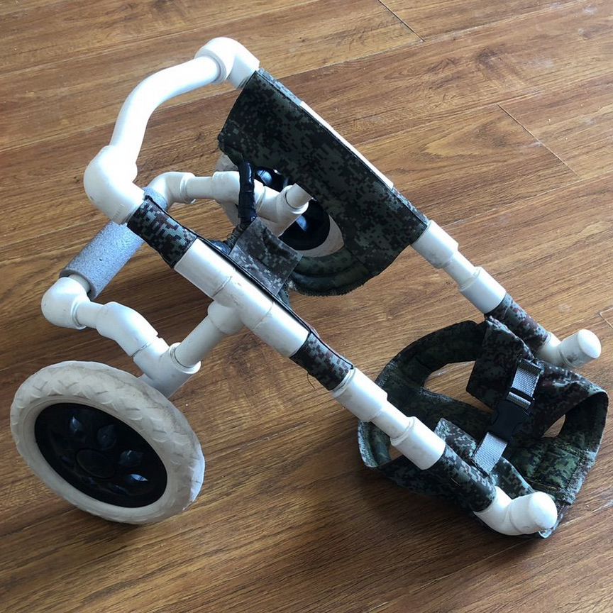 Инволидная коляска для собак