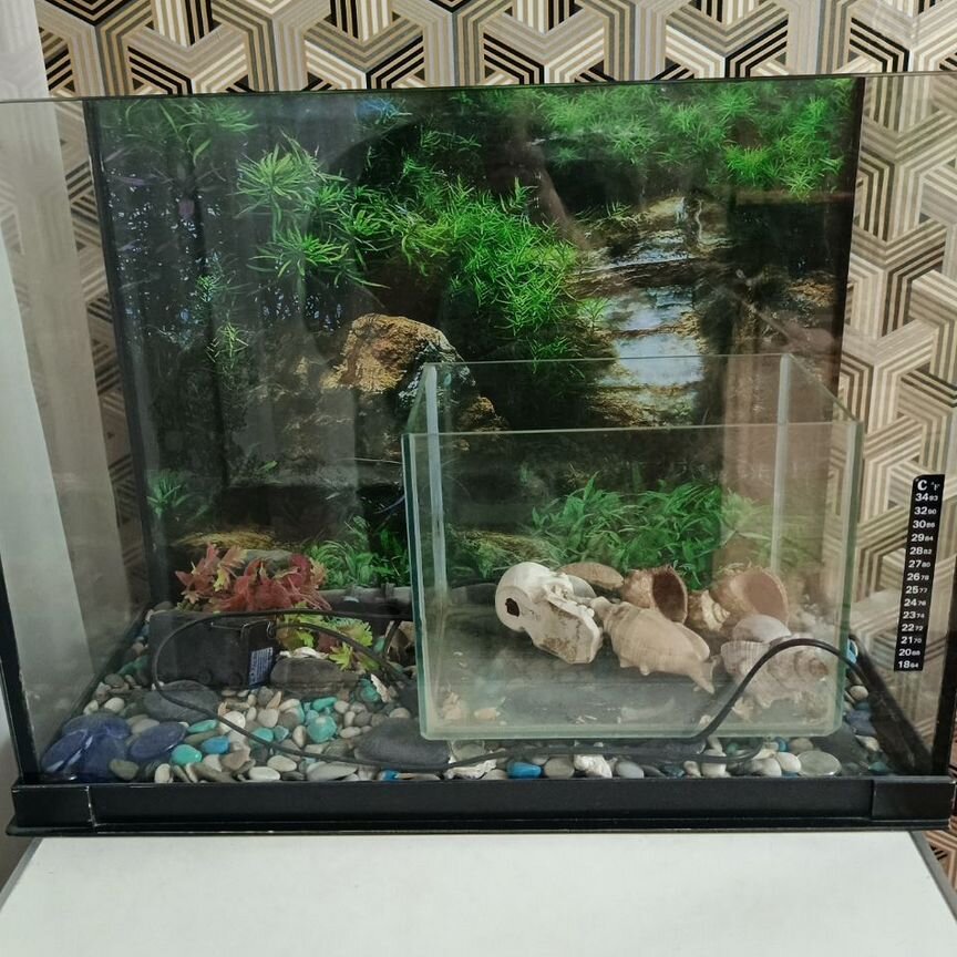 Два аквариума