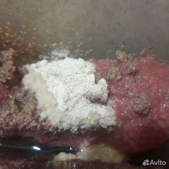 Живой корм, Израильский трубочник Изя