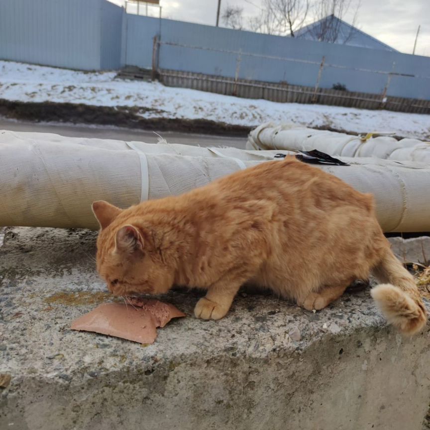 Опять нужно спасти