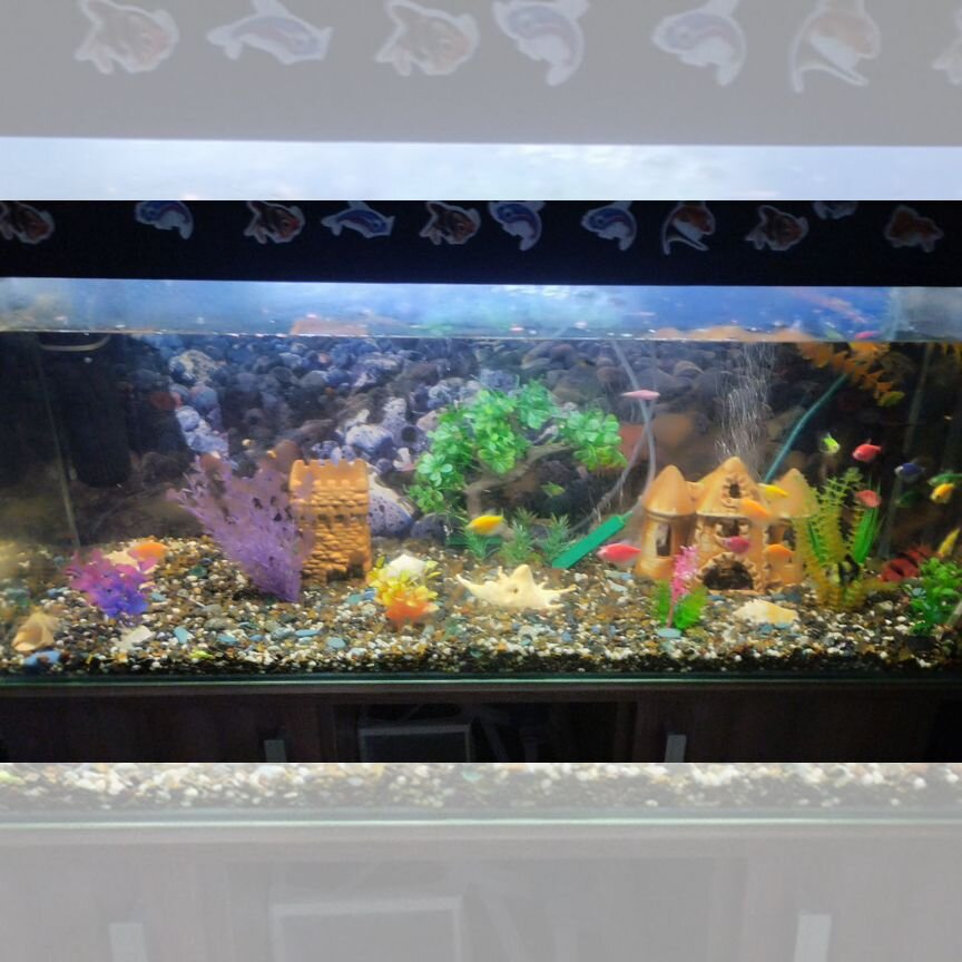 Аквариум с тумбой и совсем содержимым