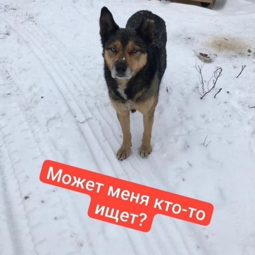 Замерзает на улице.Погреться в подъезд не пускают