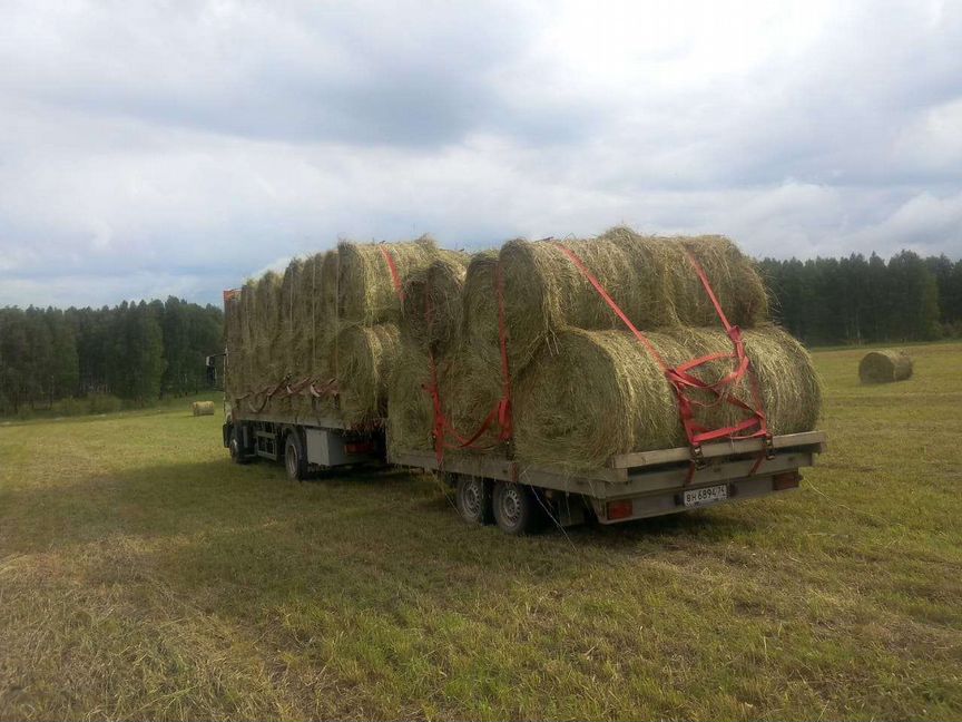 Сено, солома