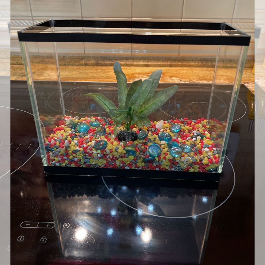 Аквариум для рыбок